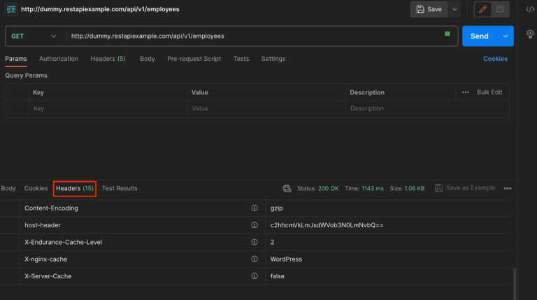 Understanding REST API Testing Techniques